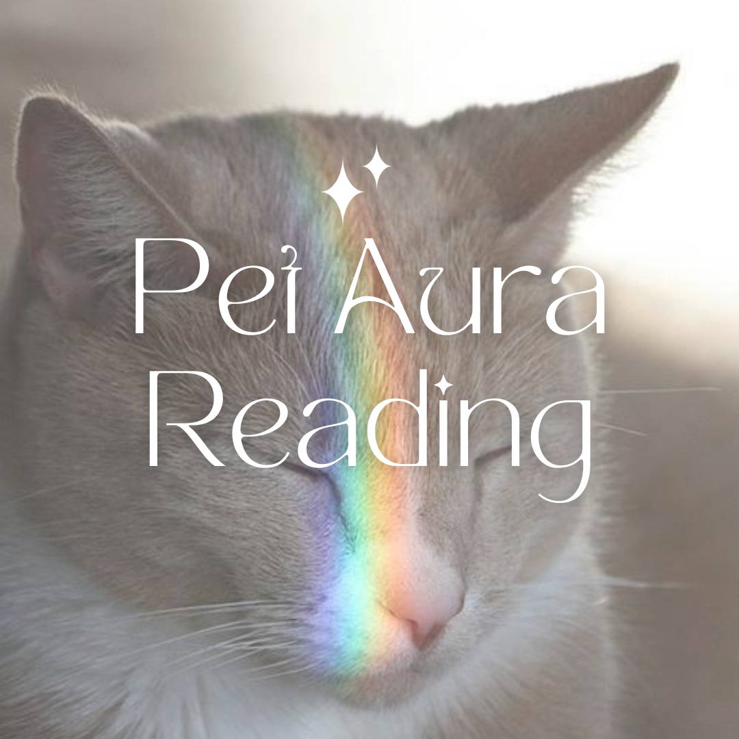 Pet Aura Reading – Deerborn Intuitive