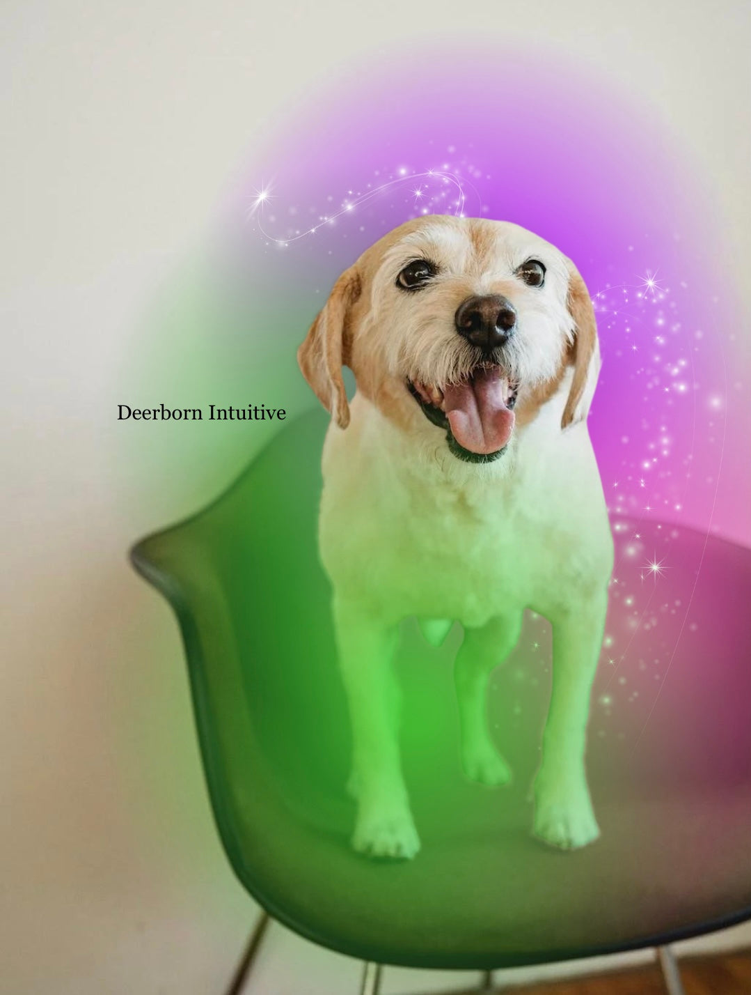 Auras – Deerborn Intuitive